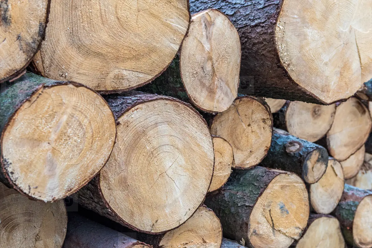 Wood Cutted Photo (56707) - YouWorkForThem