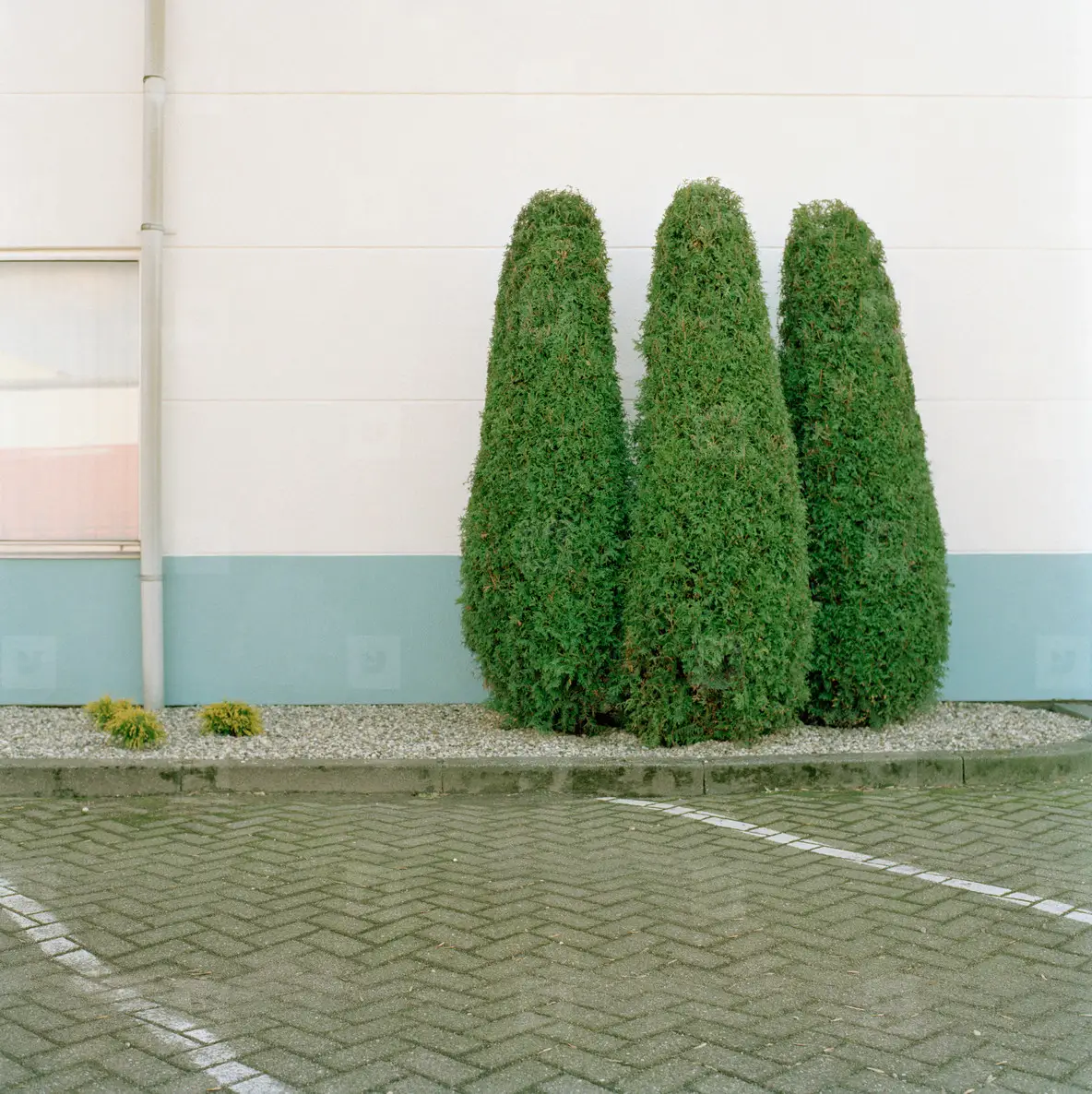 Random Places 14 Photo (63298) - YouWorkForThem