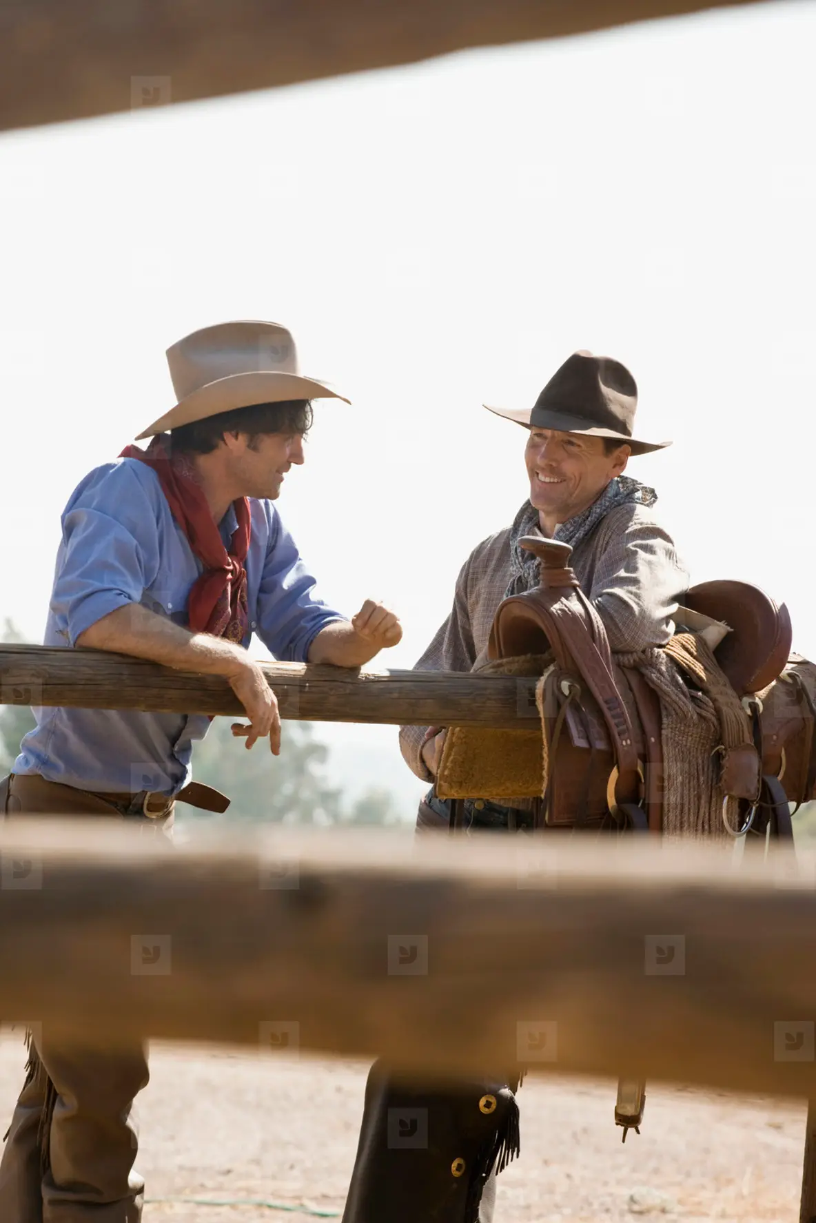 Cowboy Roundup