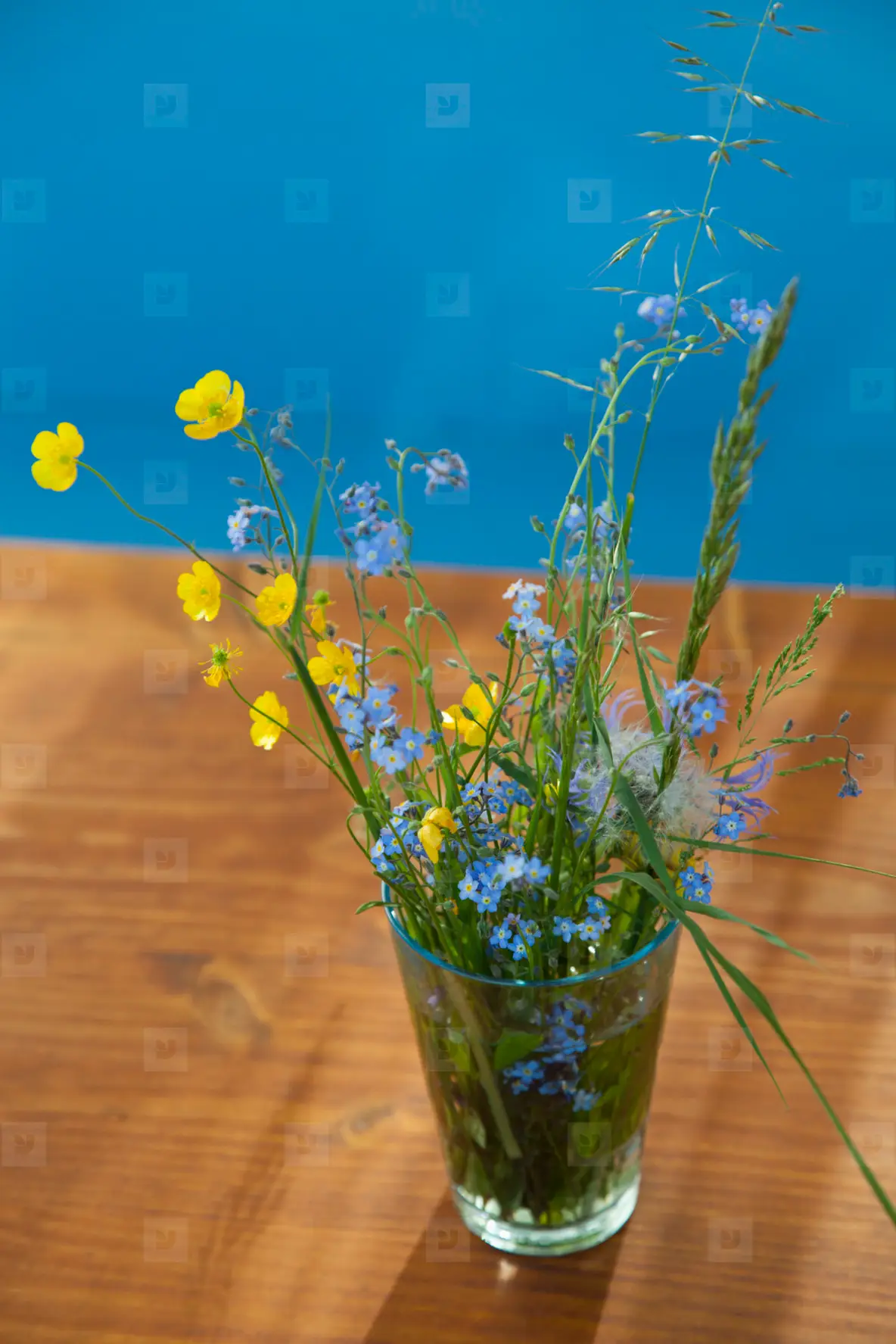 Nature Fan Fare 04 Photo (95251) - YouWorkForThem