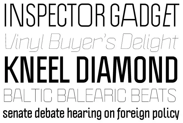 Politica Font - YouWorkForThem