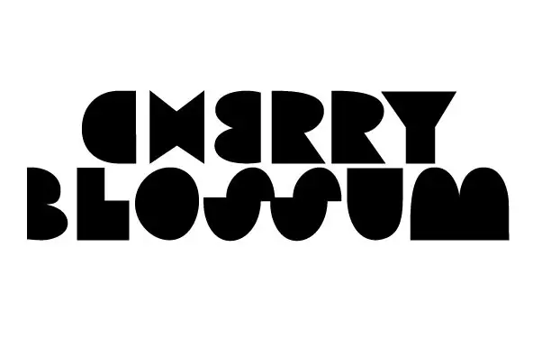 Fiasco Font - YouWorkForThem