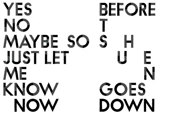 Skute Pro Graphics - YouWorkForThem