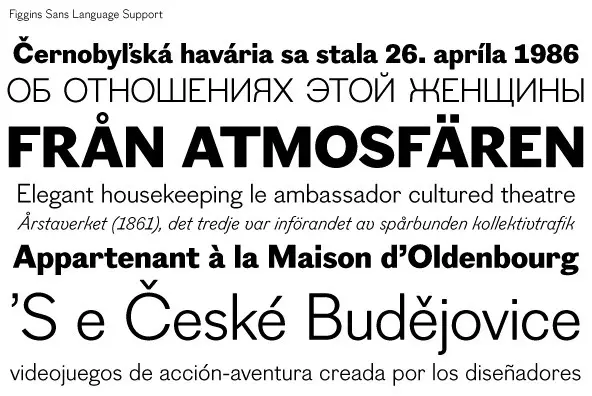 Figgins Sans Font - YouWorkForThem