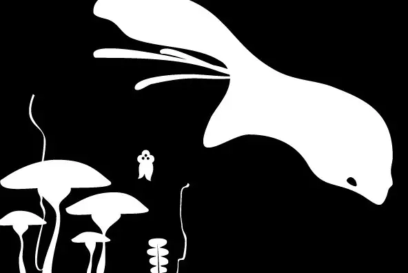 Anymals Font - YouWorkForThem