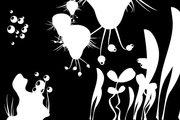 Anymals Font - YouWorkForThem