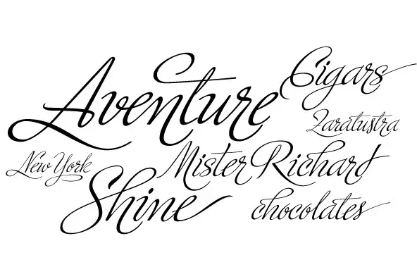 Ministry Script Font - YouWorkForThem