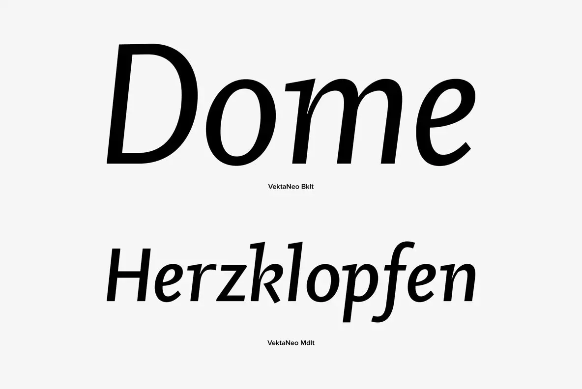 Vekta Neo Font - YouWorkForThem