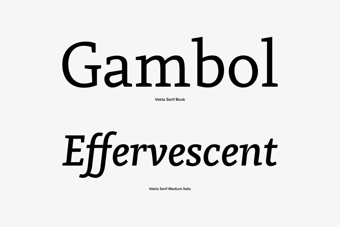 Vekta Complete Font - YouWorkForThem