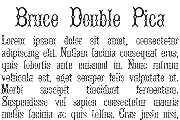 Bruce Double Pica Font - FontPath