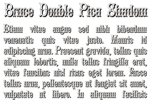 Bruce Double Pica Font - YouWorkForThem