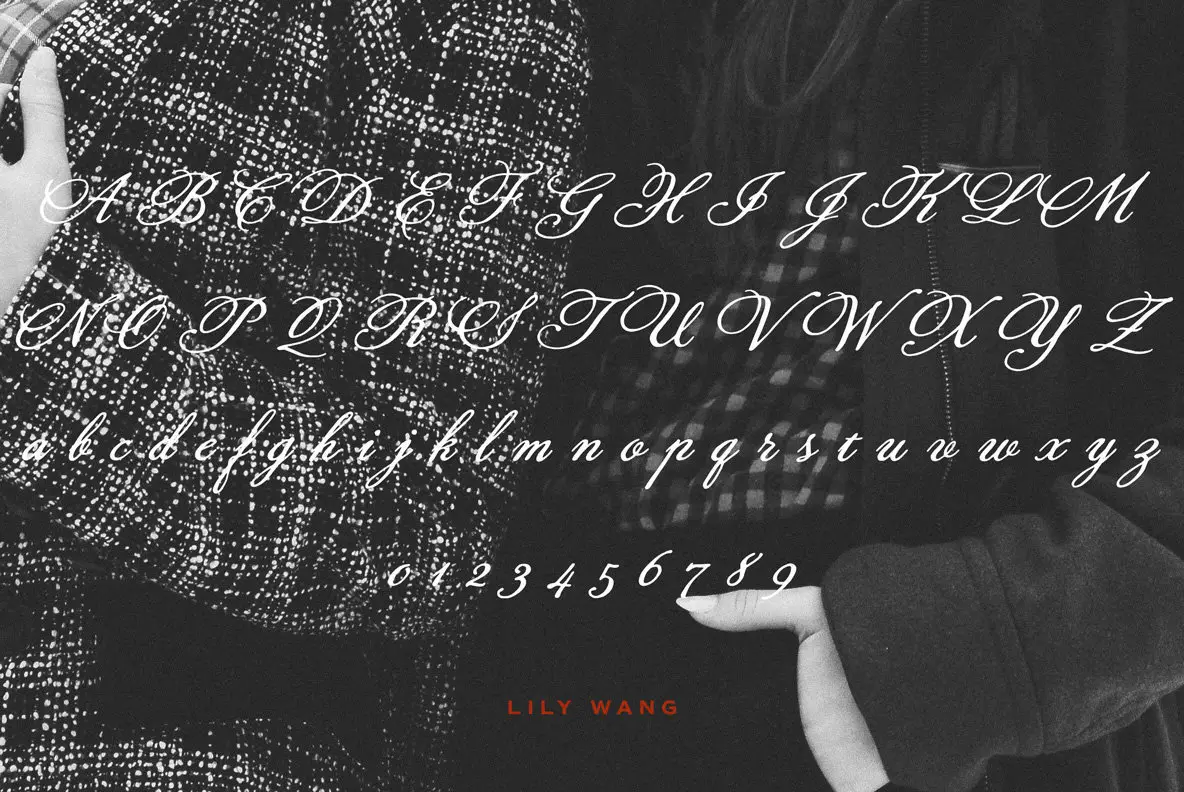 Lily Wang Font - YouWorkForThem