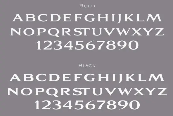 Aviano Serif Font - YouWorkForThem