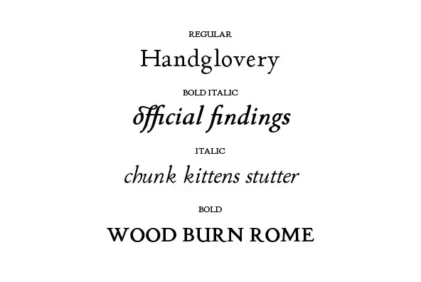 P22 The Stickley Optical Family Font - YouWorkForThem