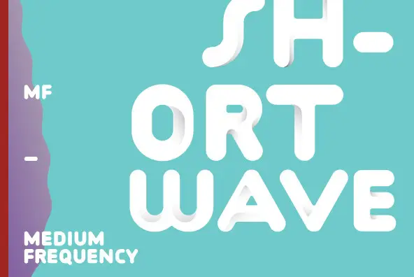 Tummy Font - YouWorkForThem