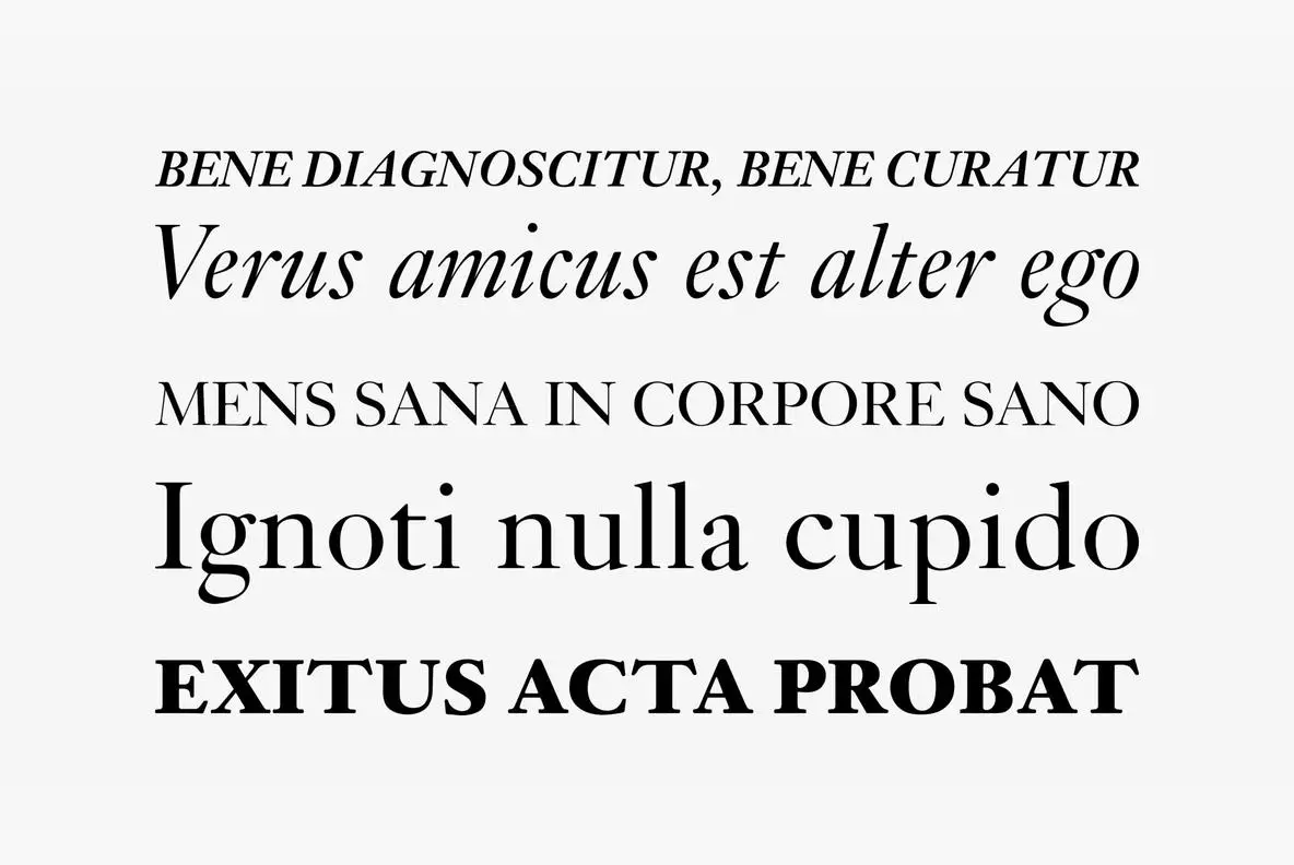 Janson Font - YouWorkForThem