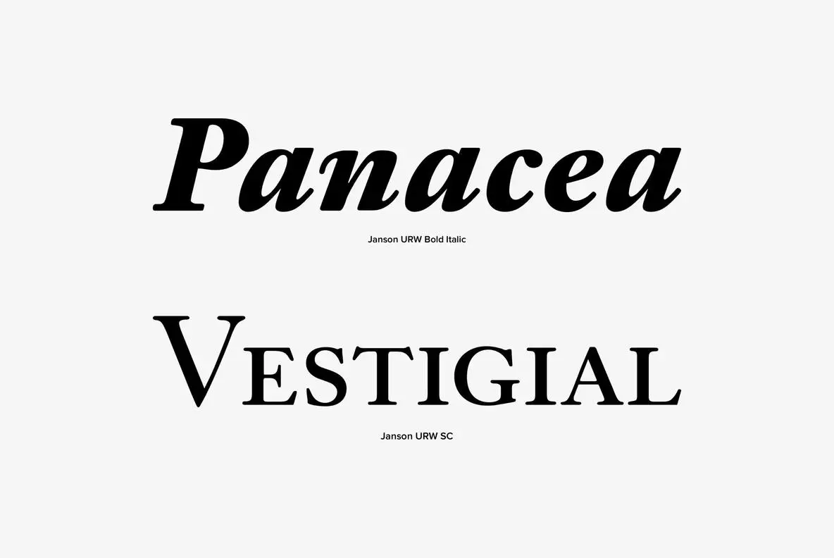 Janson Font - YouWorkForThem