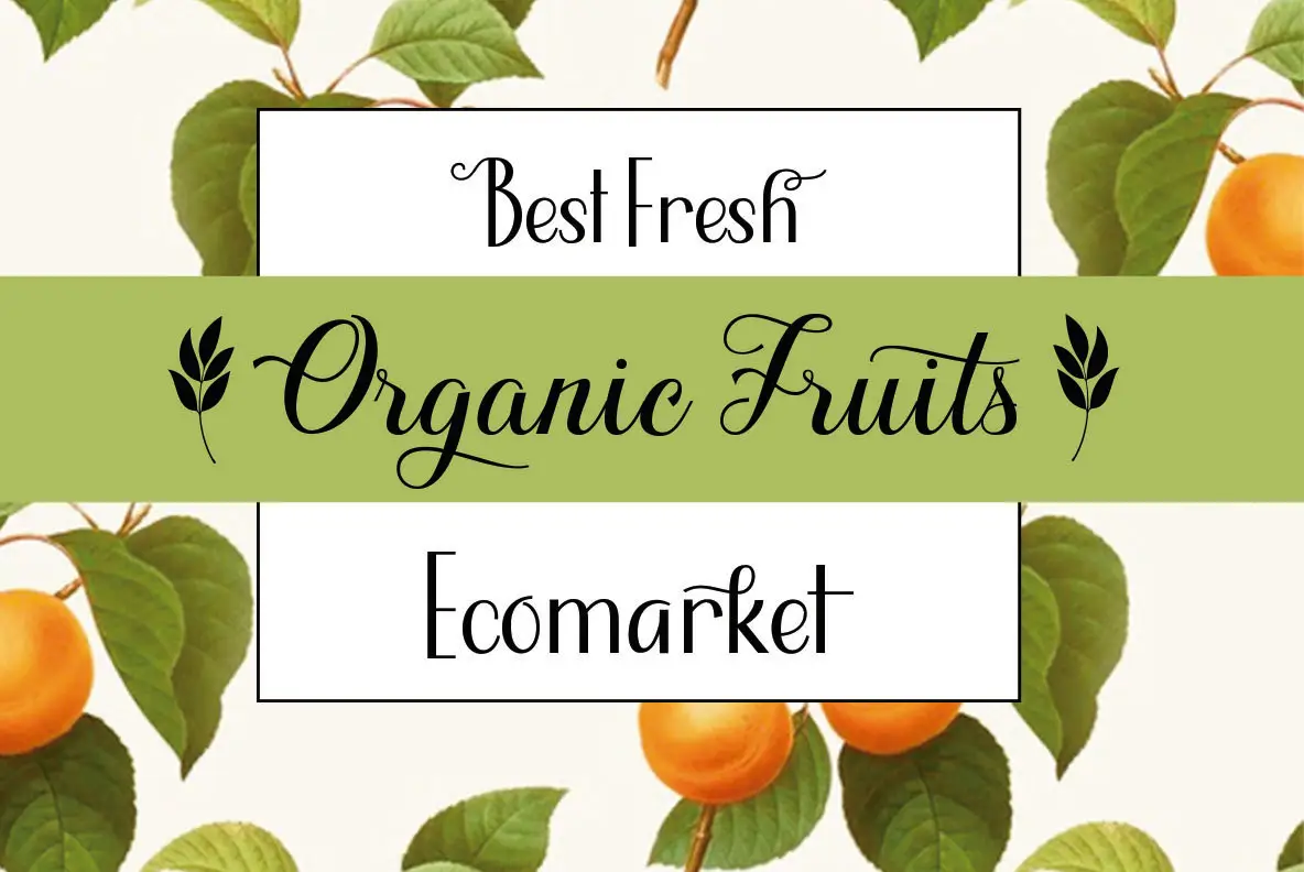 Jacine Font - YouWorkForThem