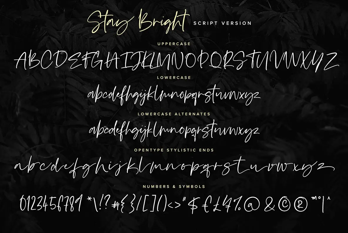 Stay Bright Font Duo - YouWorkForThem
