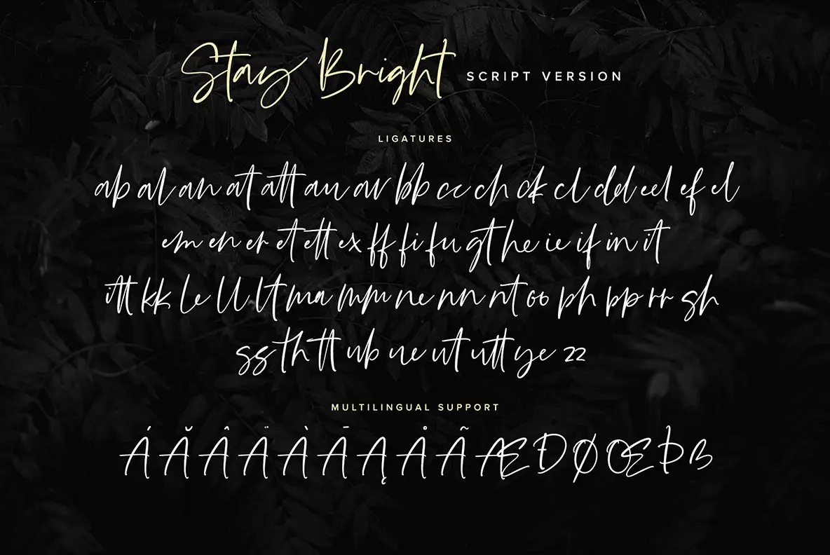 Stay Bright Font Duo - YouWorkForThem