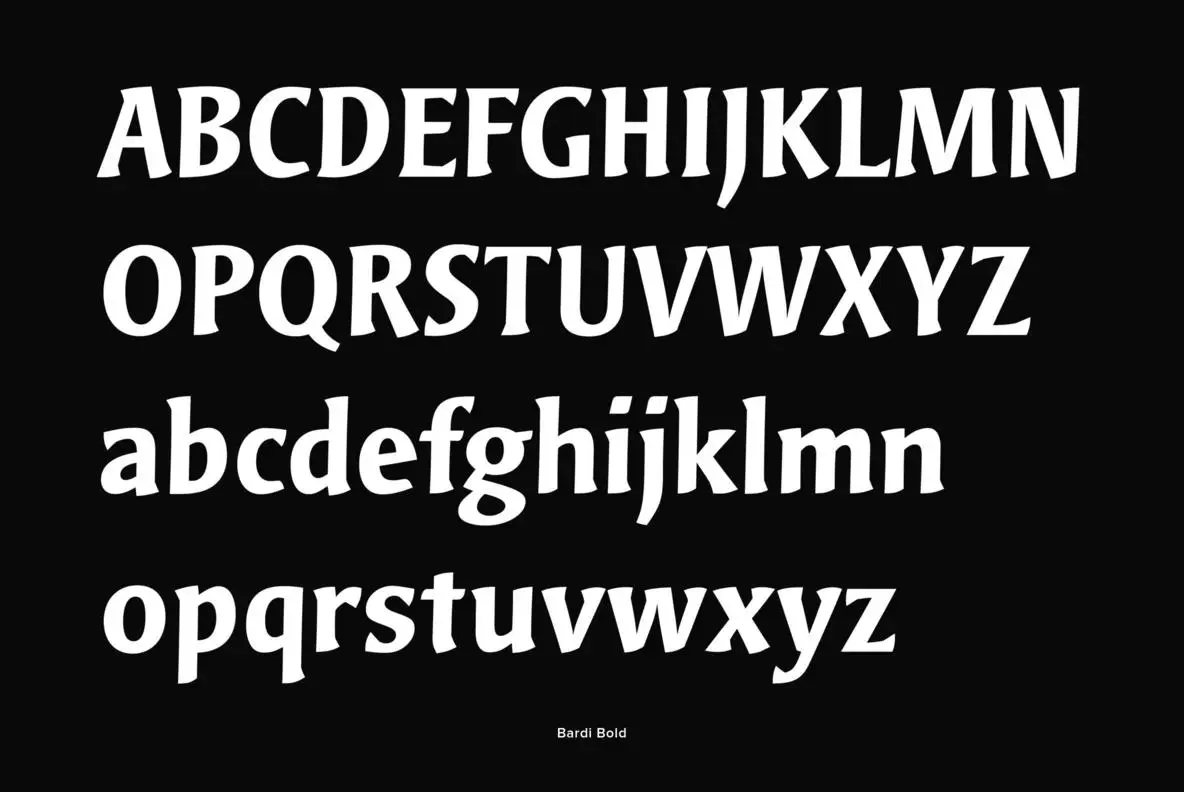 Bardi Font - YouWorkForThem