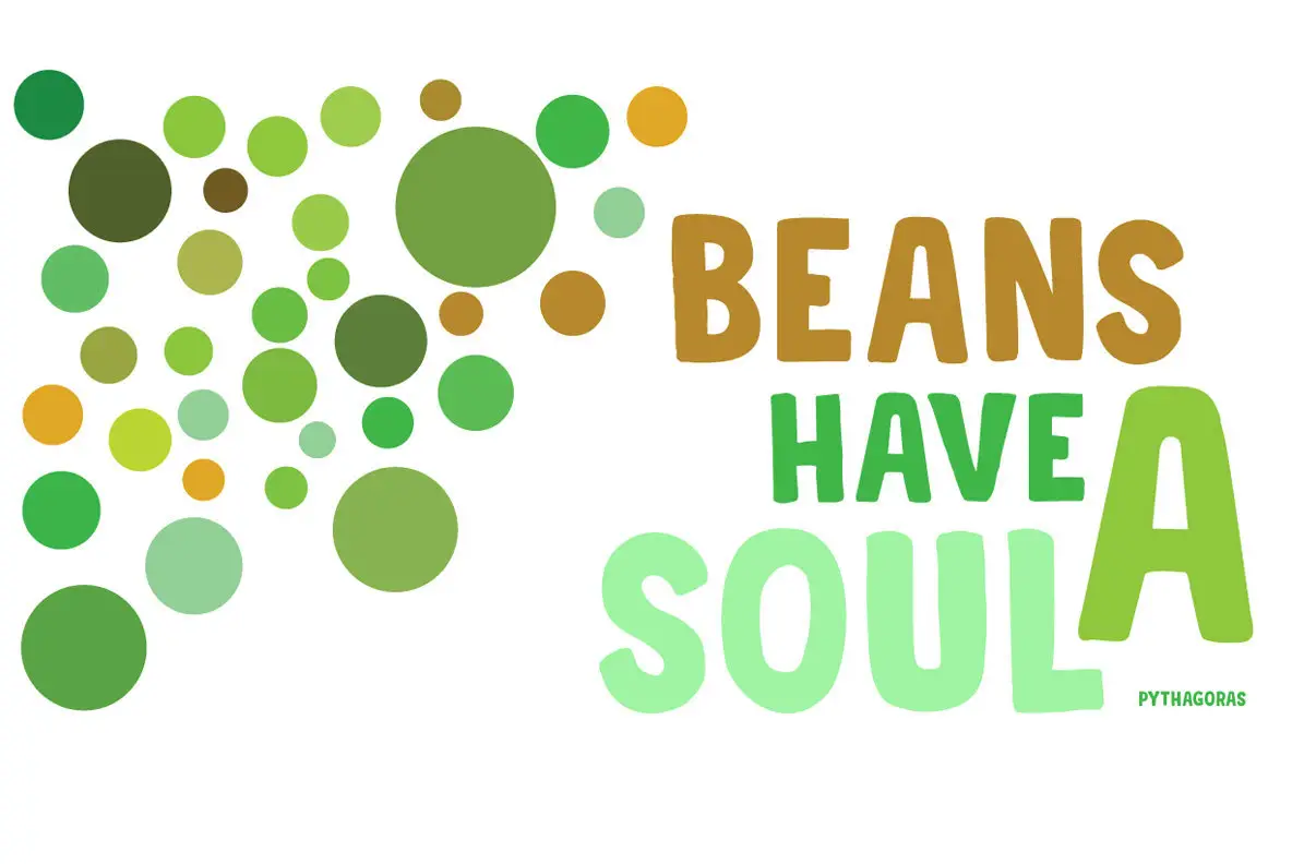 Beanstalker Font - FontPath
