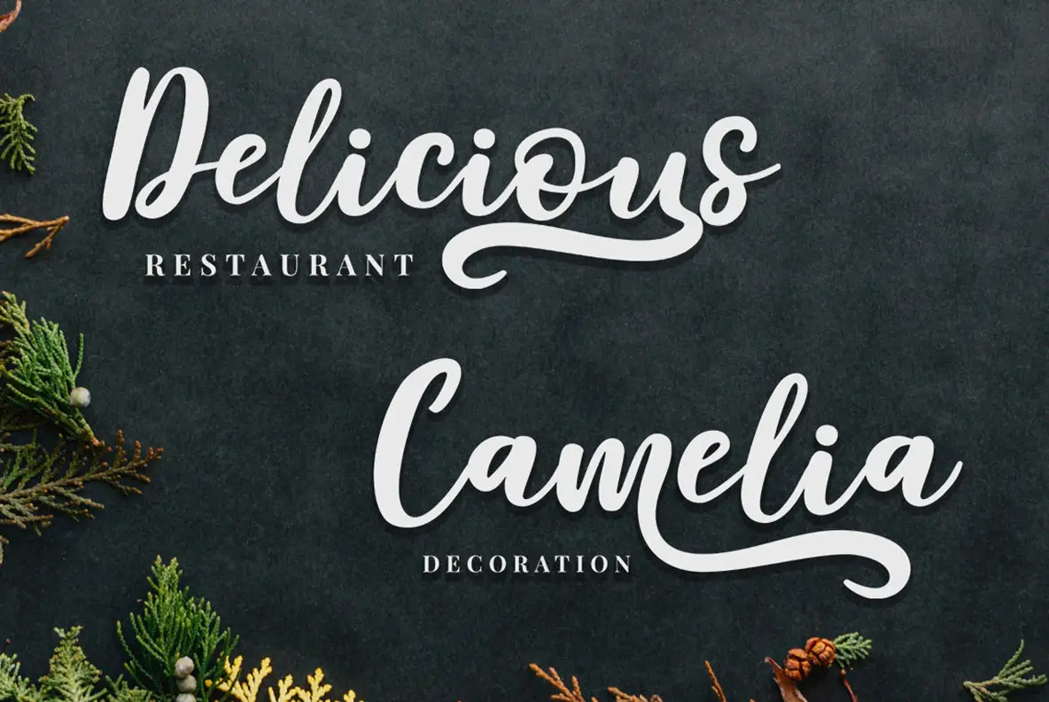 Delaras Font - FontPath