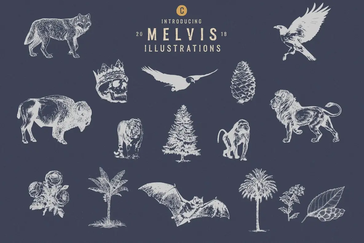 Melvis Font Family and Extras Font - FontPath