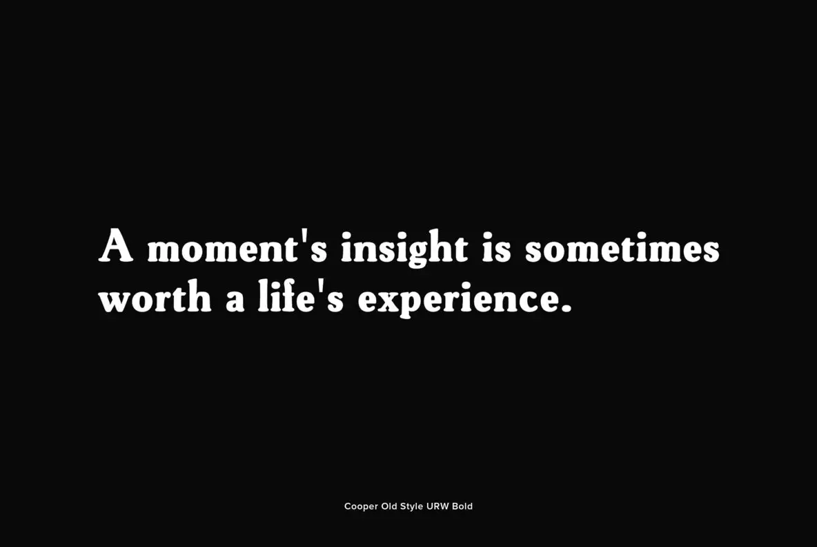 Cooper Old Style Font - YouWorkForThem