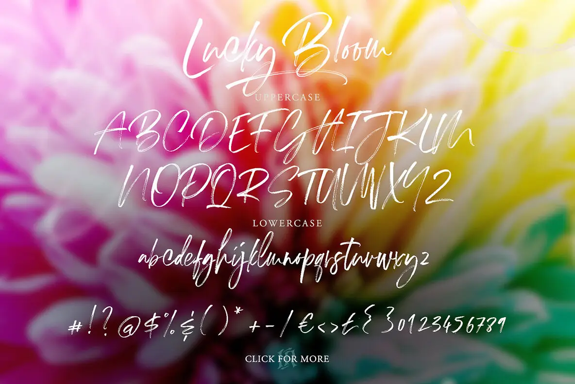 Lucky Bloom SVG Font - FontPath
