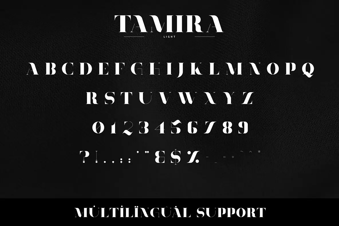 Tamira Font - YouWorkForThem