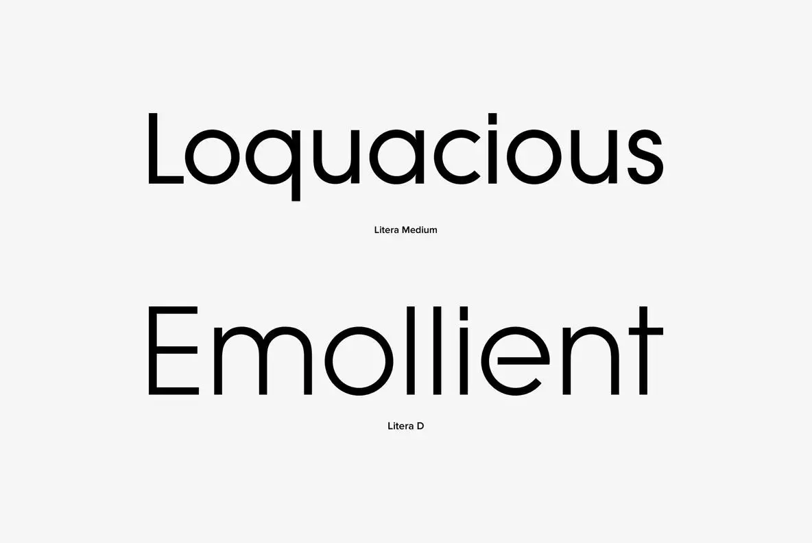 Litera Font - YouWorkForThem