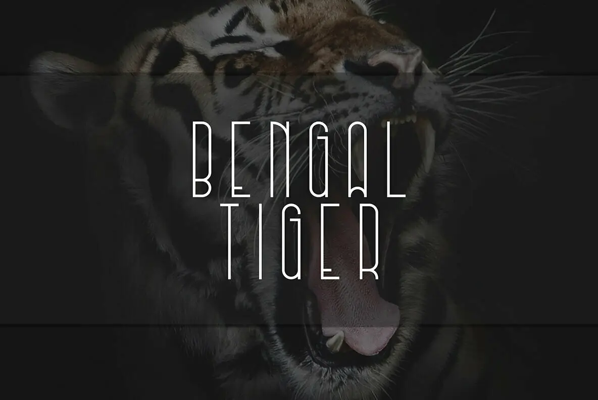 Musa Font - YouWorkForThem