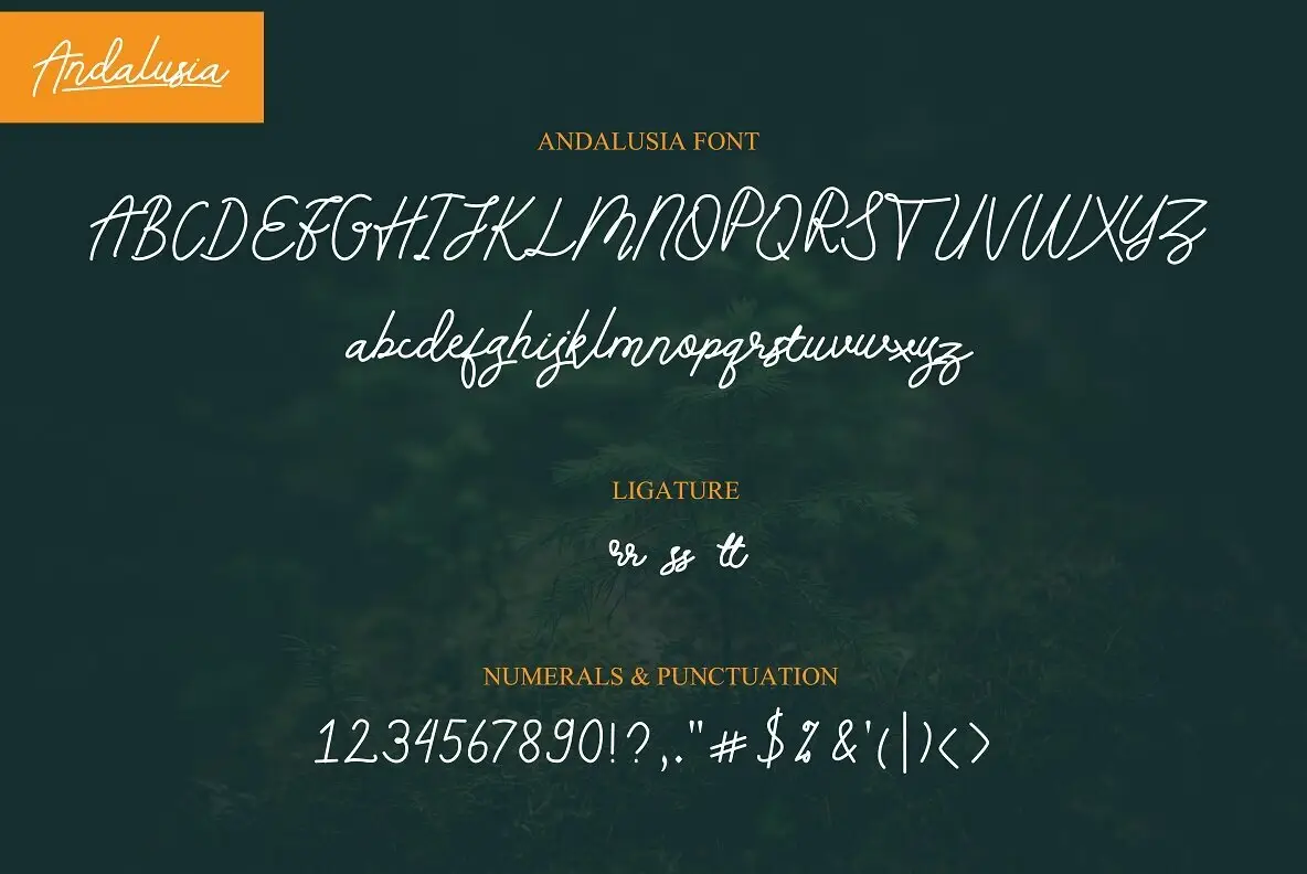 Andalusia Font - FontPath