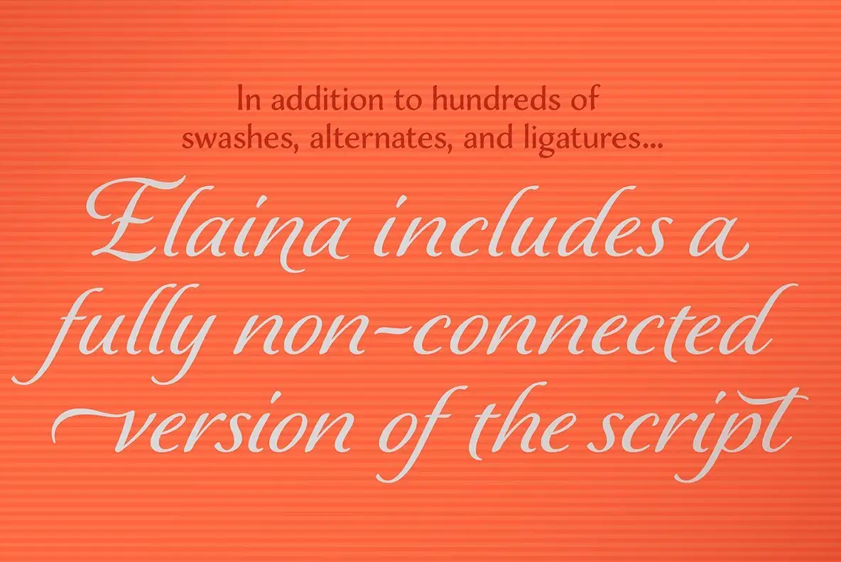 Elaina Family Font - YouWorkForThem