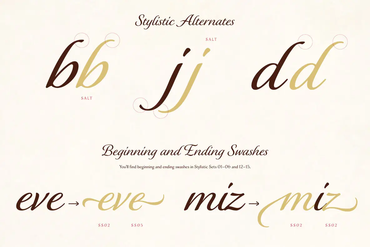 Elaina Family Font - YouWorkForThem