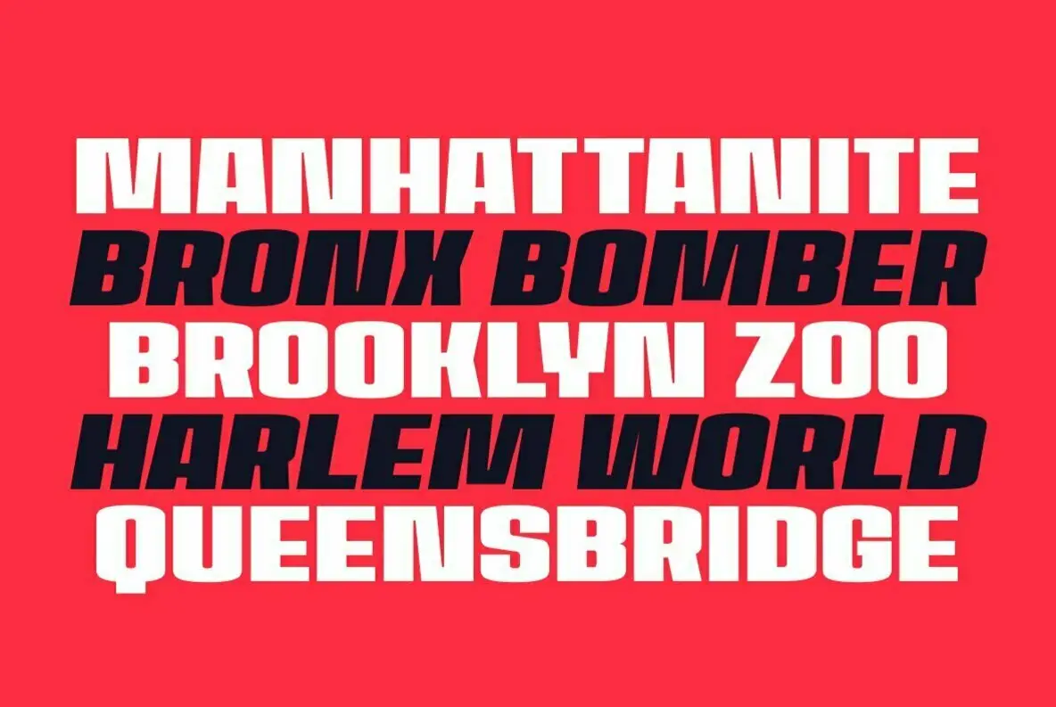 House Sans Font - YouWorkForThem