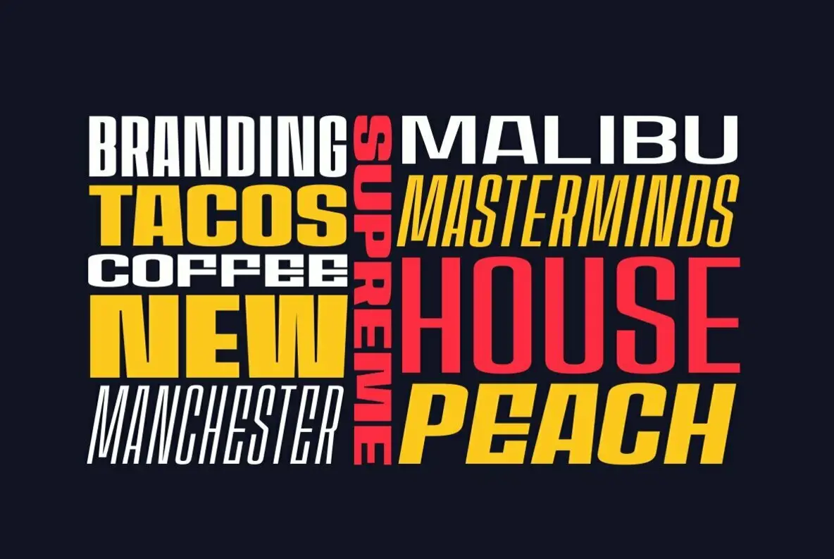 House Sans Font - YouWorkForThem