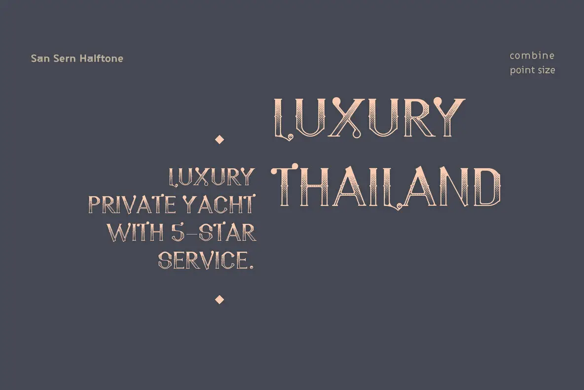 SanSern Font - YouWorkForThem