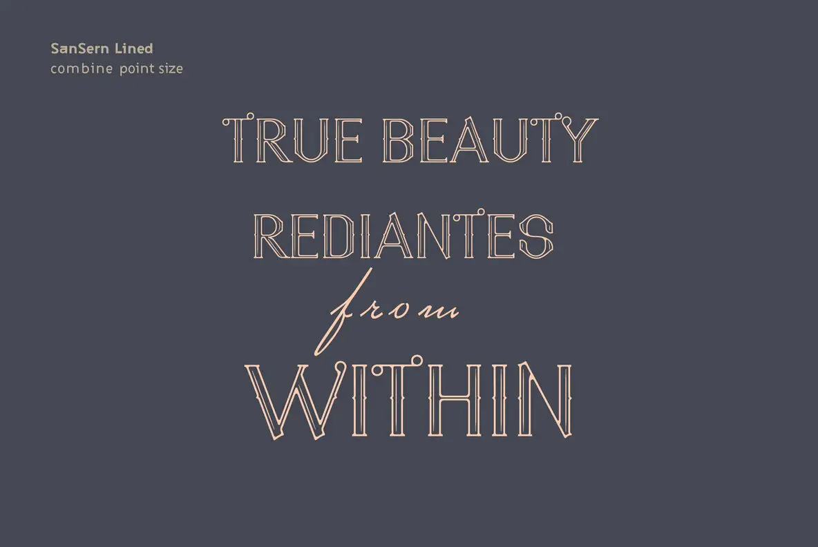 SanSern Font - YouWorkForThem