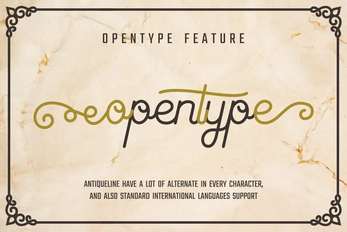 Antiqueline Font - YouWorkForThem