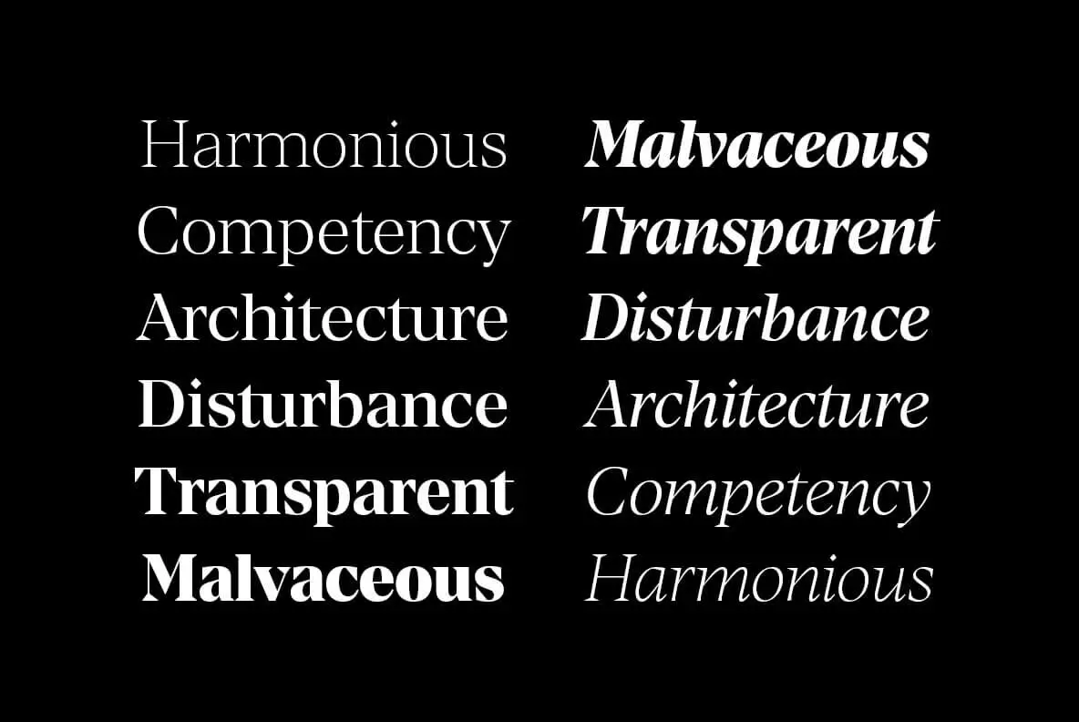 Manier Font - YouWorkForThem