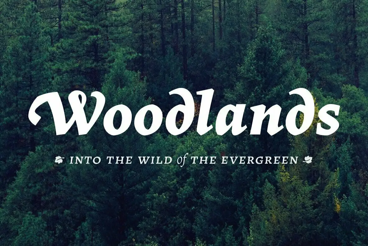 Radal Font - FontPath