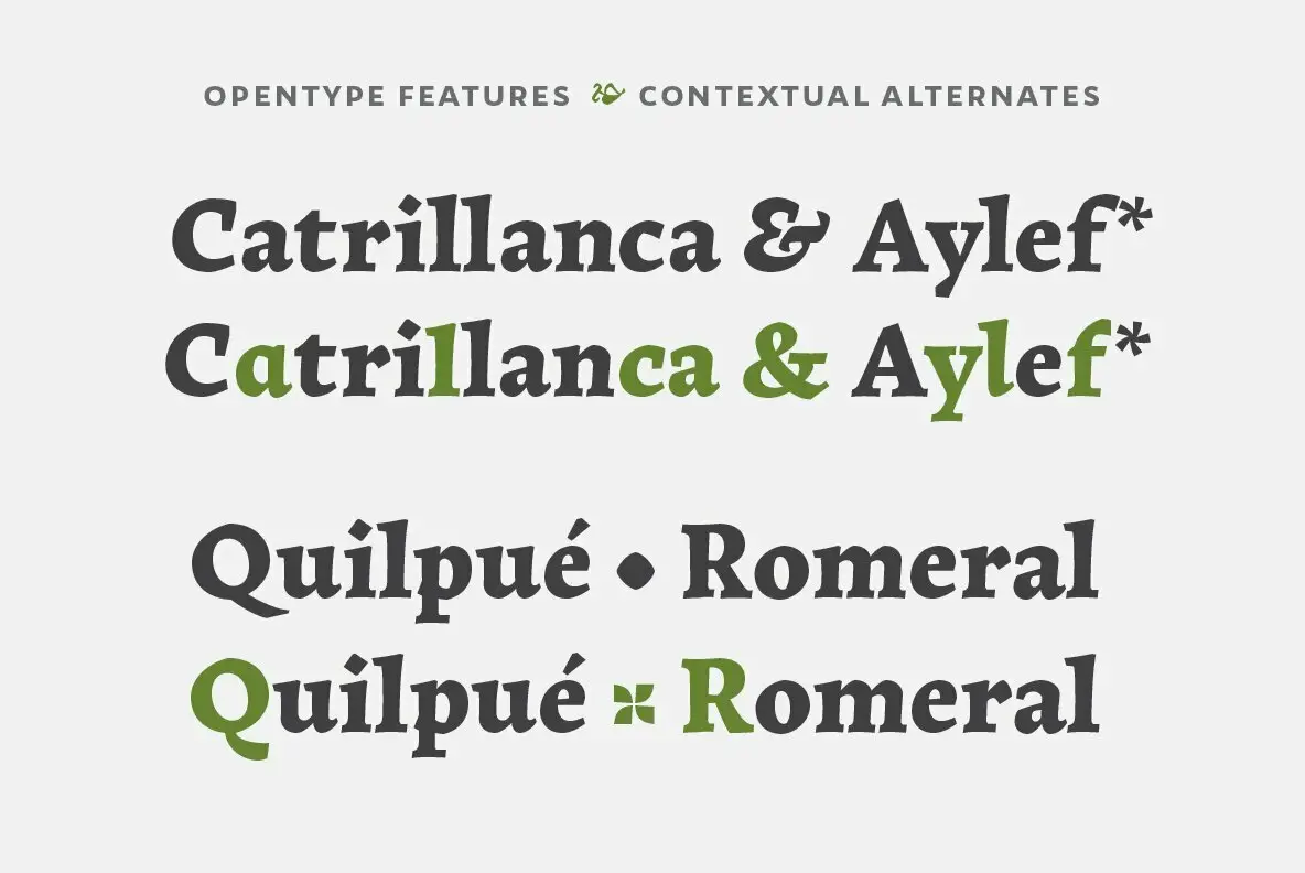 Radal Font - YouWorkForThem