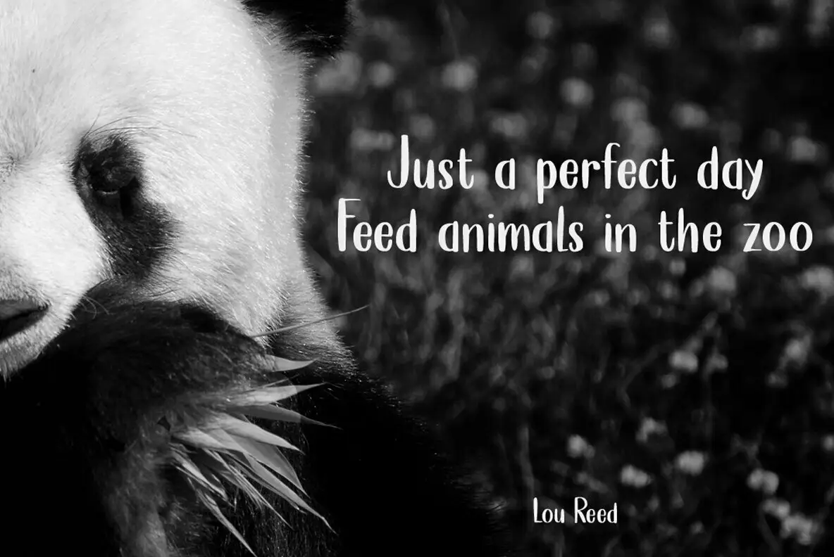 Perfect Day Font - FontPath