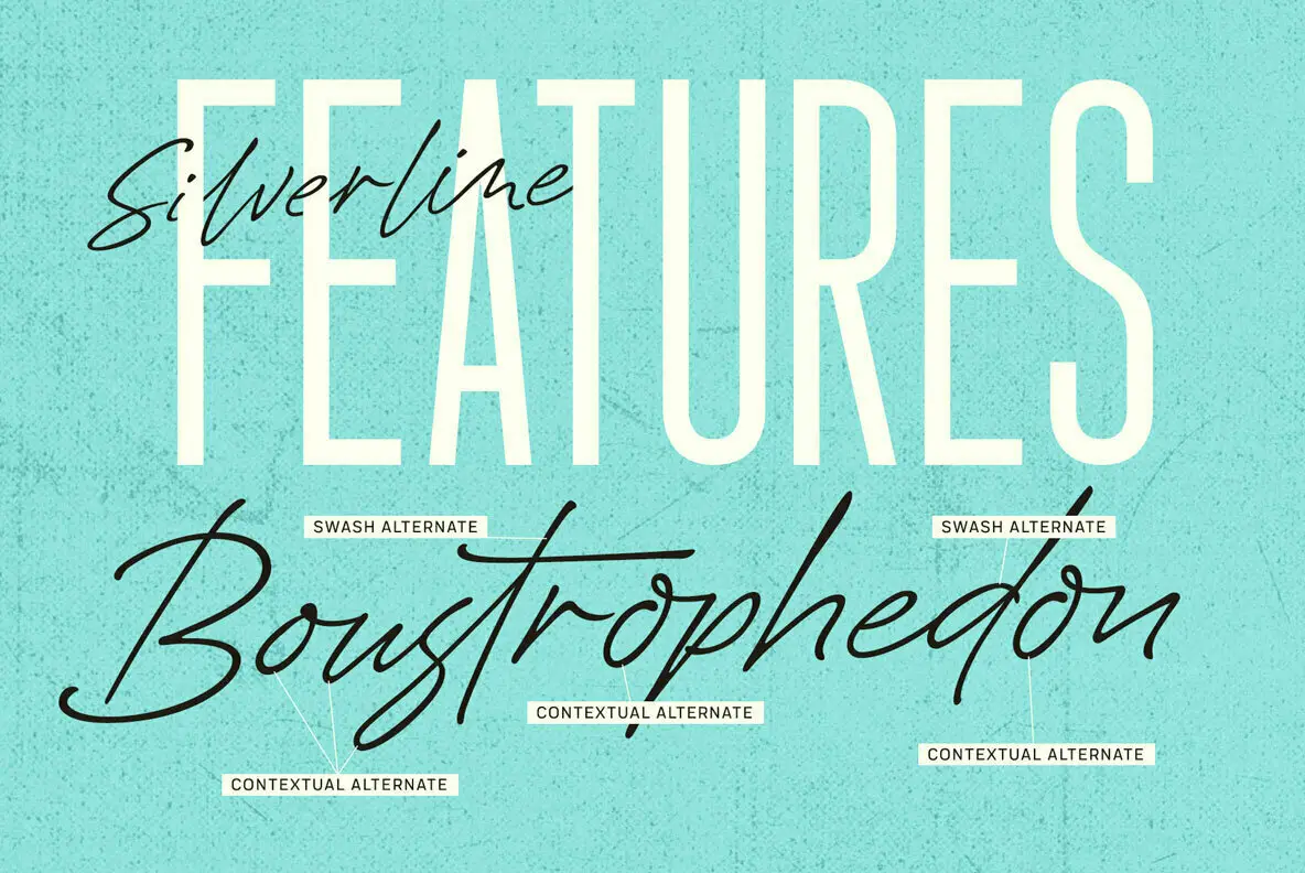 Silverline Font - YouWorkForThem