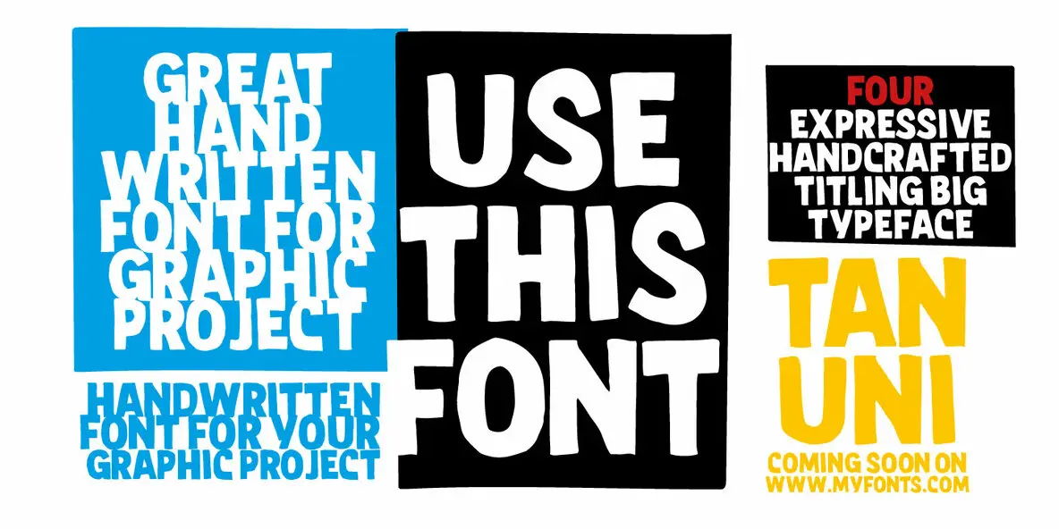 Tanuki Font - YouWorkForThem