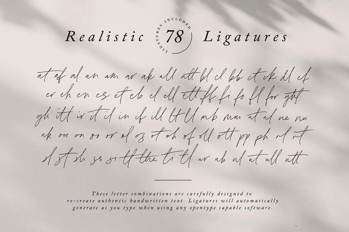 Sebastian Bobby Font - YouWorkForThem