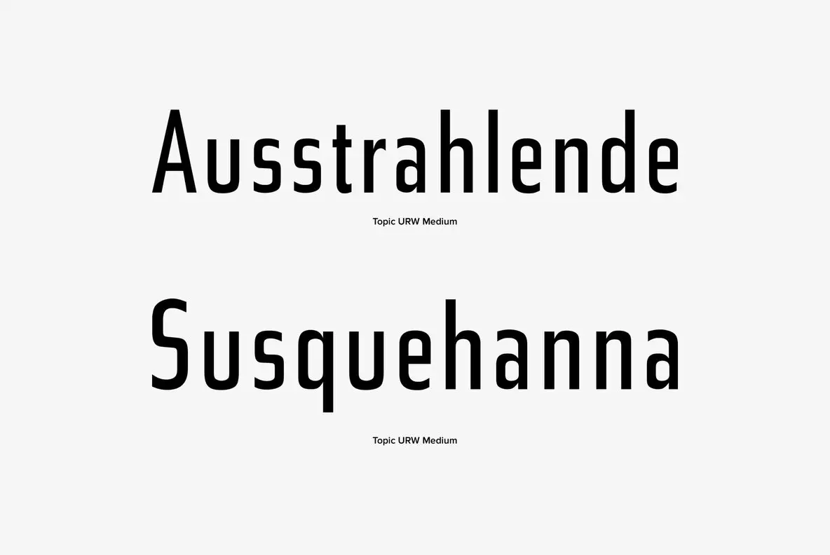 Topic Font - YouWorkForThem
