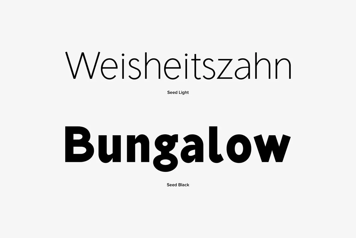Seed Font - FontPath